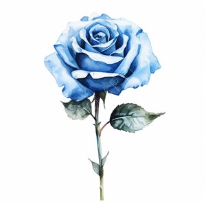 Blue Rose Clipart, Printable Wall Art, Valentines Prints, Digital Blue ...