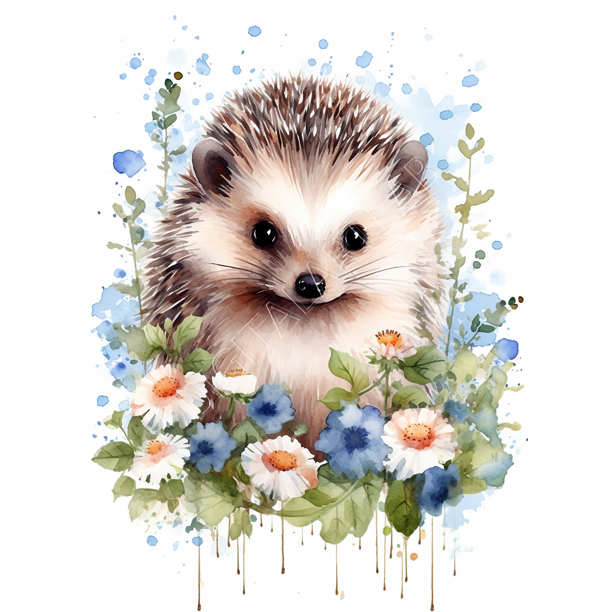11 Hedgehog Clipart, Cute Hedgehog Clipart, Animal Prints, Digital ...