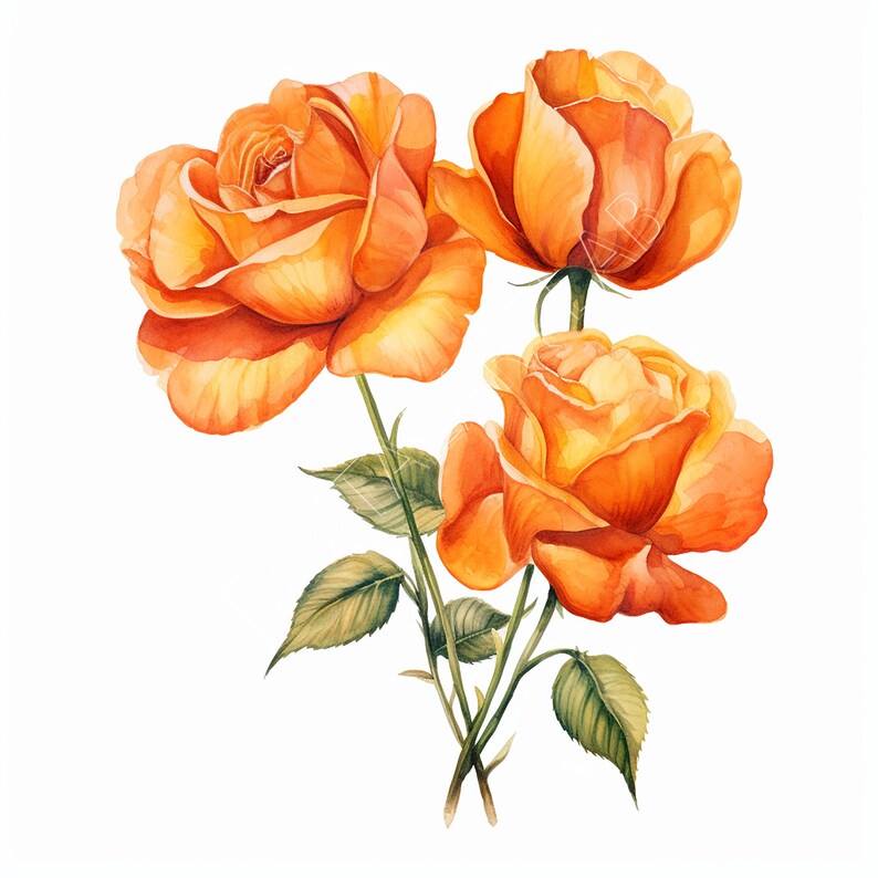 Orange Roses Clipart, Printable Wall Art, Valentines Prints, Digital ...