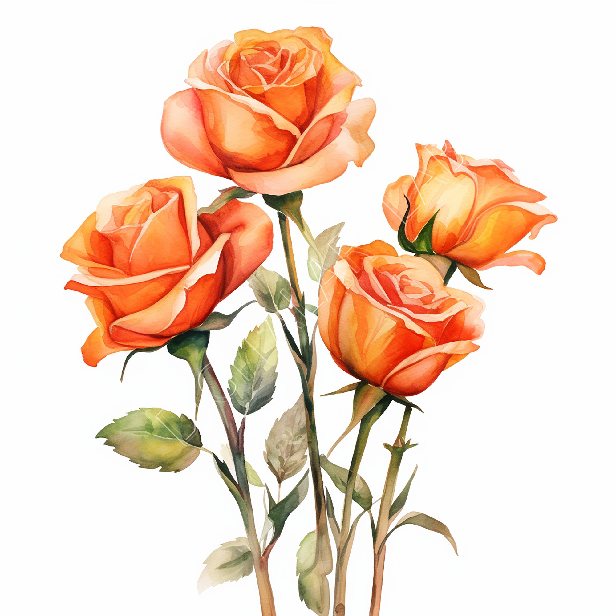 Orange Roses Clipart, Printable Wall Art, Valentines Prints, Digital ...