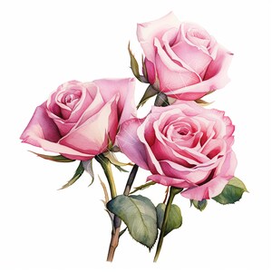 Pink Roses Watercolor Clipart, Printable Wall Art, Valentine's Day ...