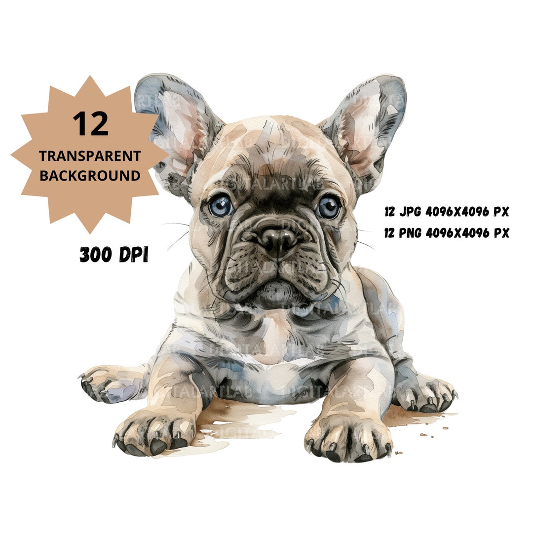 French Bulldog Puppy, Animal Prints, Baby Animals Clipart, Watercolor ...