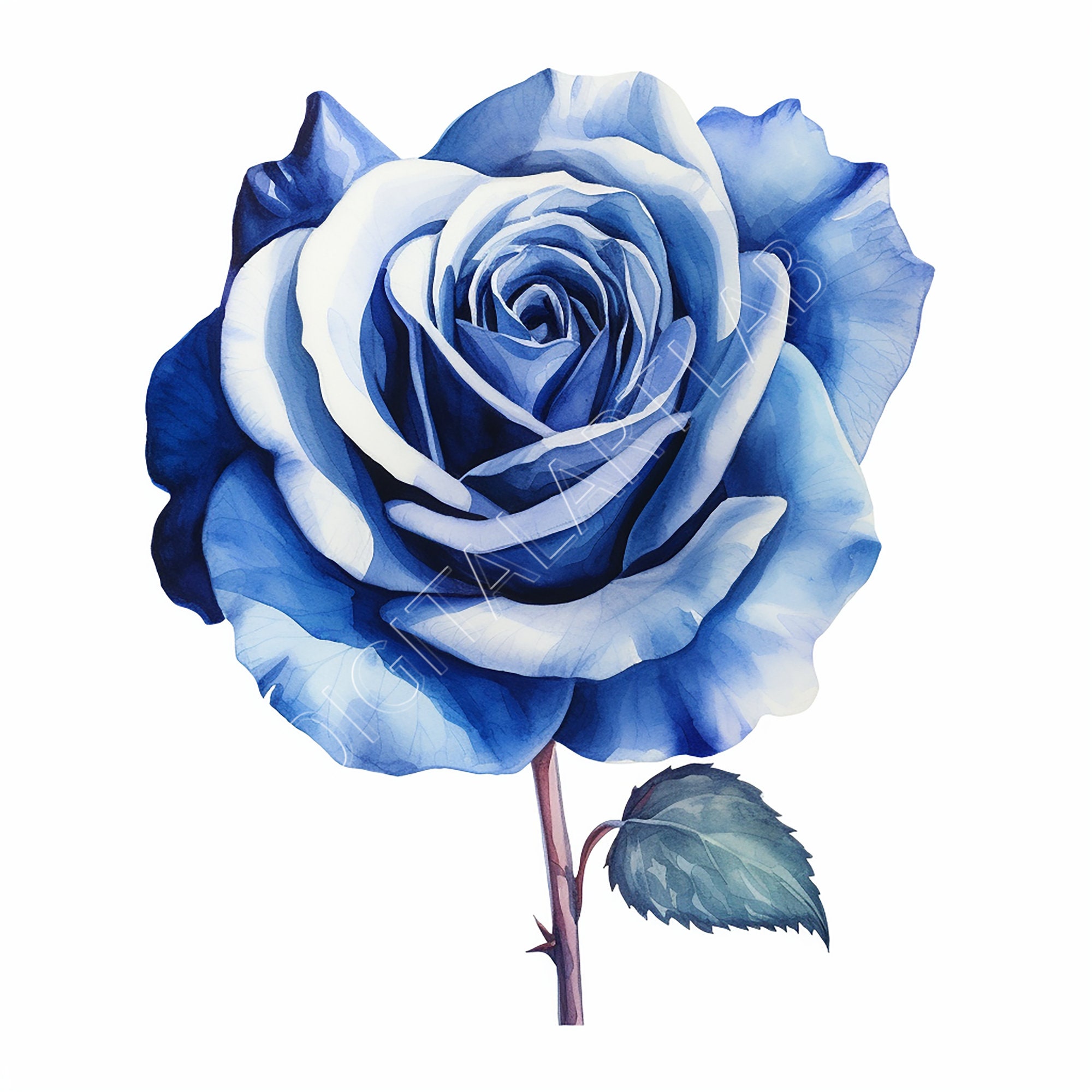 Blue Rose Clipart, Printable Wall Art, Valentines Prints, Digital Blue ...
