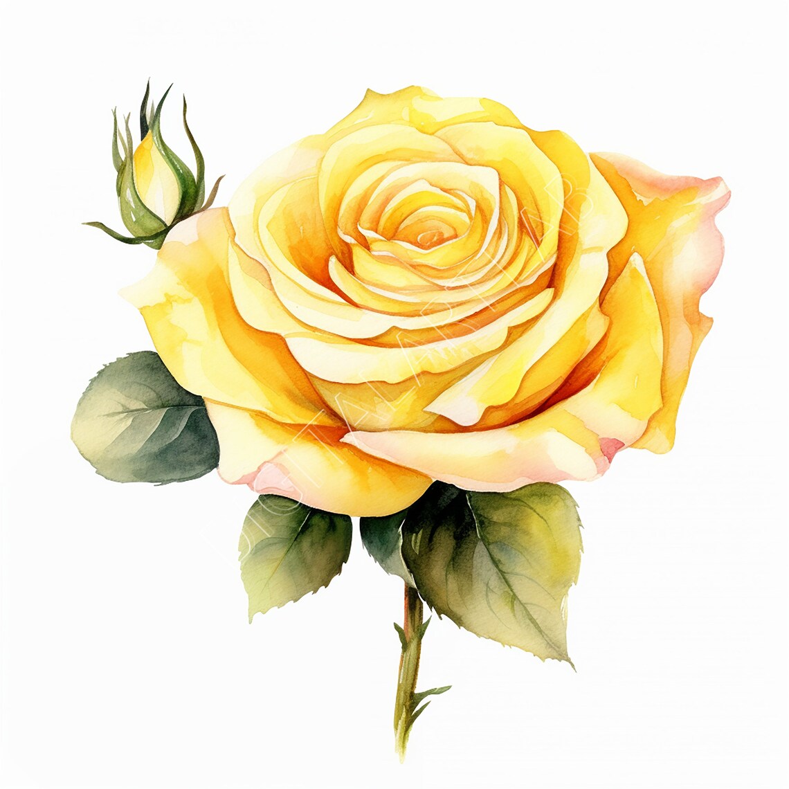 Yellow Rose Clipart, Printable Wall Art, Valentines Prints, Digital ...