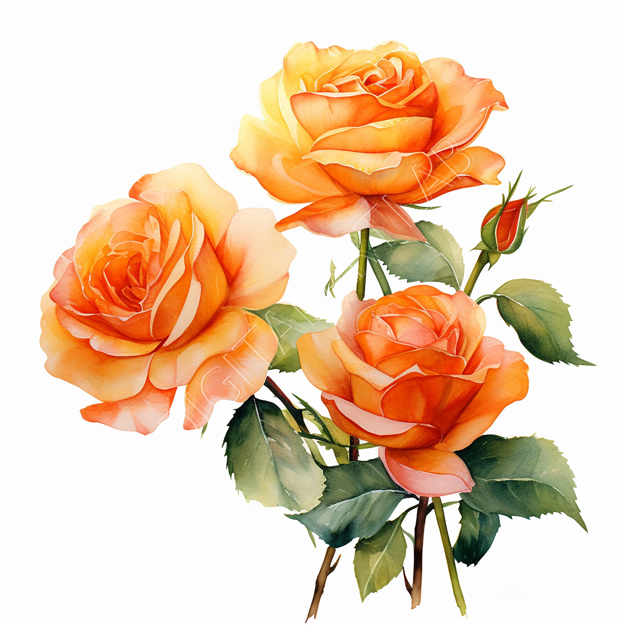 Orange Roses Clipart, Printable Wall Art, Valentines Prints, Digital ...