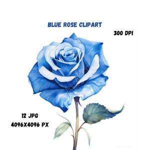 Blue Rose Clipart, Printable Wall Art, Valentines Prints, Digital Blue ...