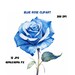 Blue Rose Clipart, Printable Wall Art, Valentines Prints, Digital Blue ...