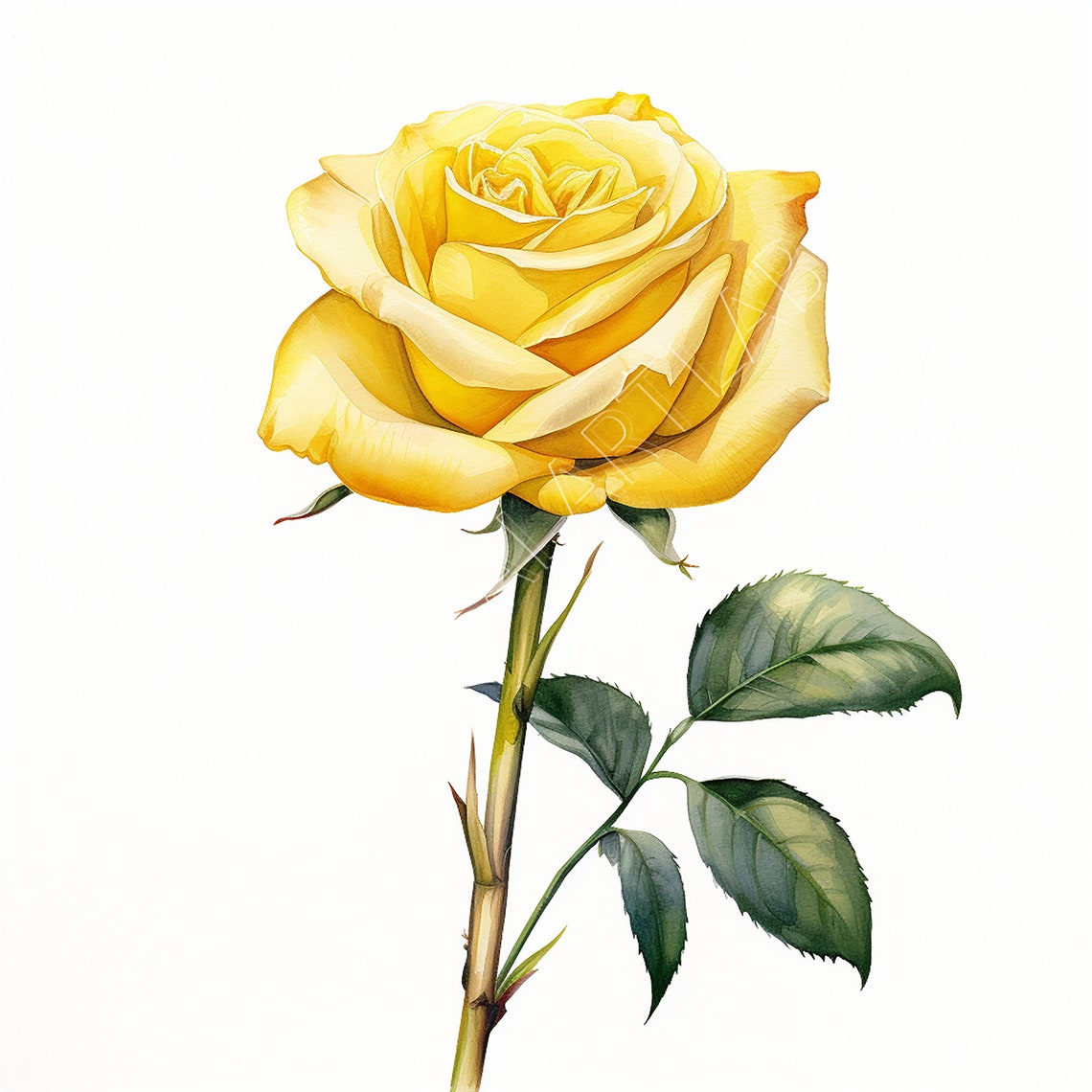 Yellow Rose Clipart, Printable Wall Art, Valentines Prints, Digital ...