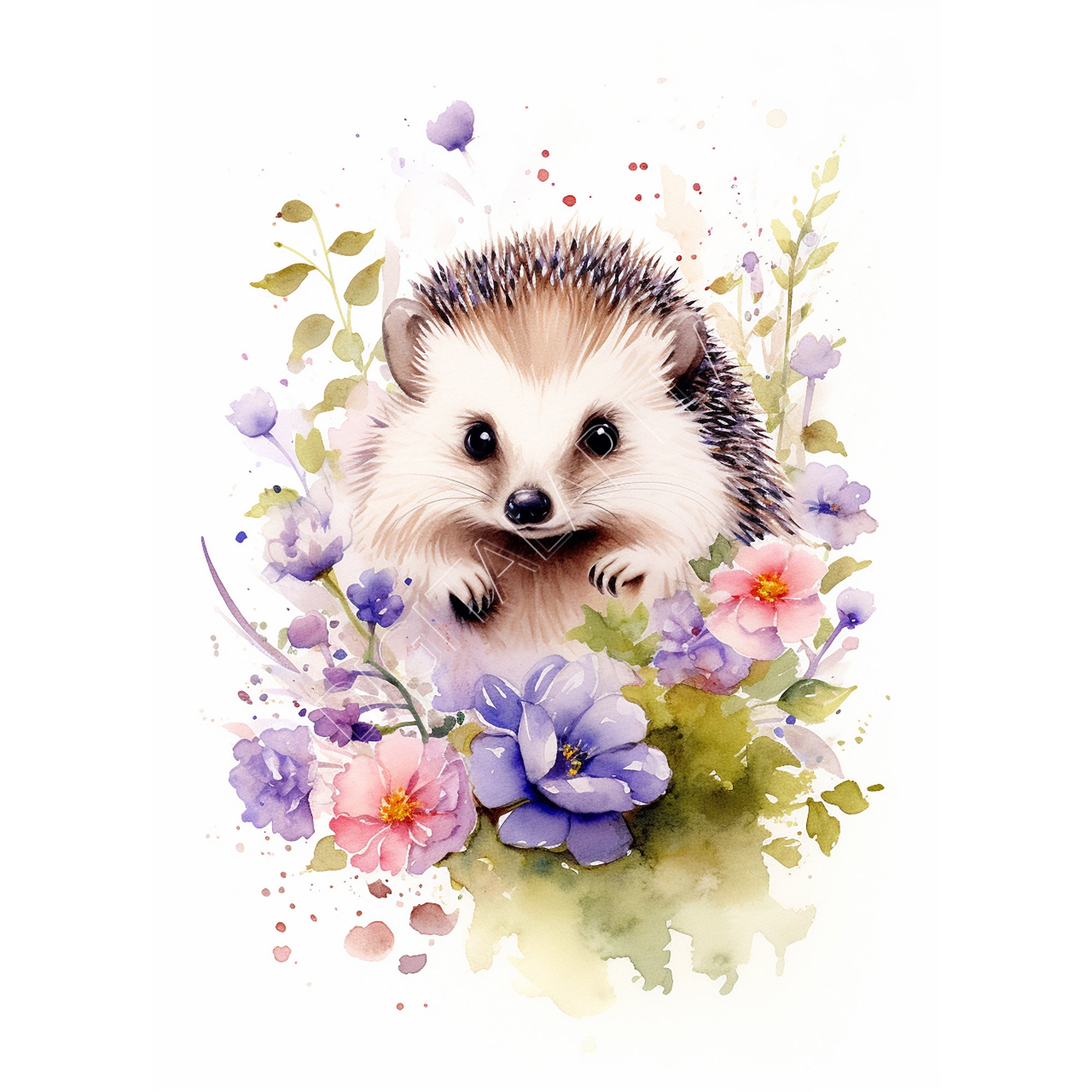 11 Hedgehog Clipart, Cute Hedgehog Clipart, Animal Prints, Digital ...