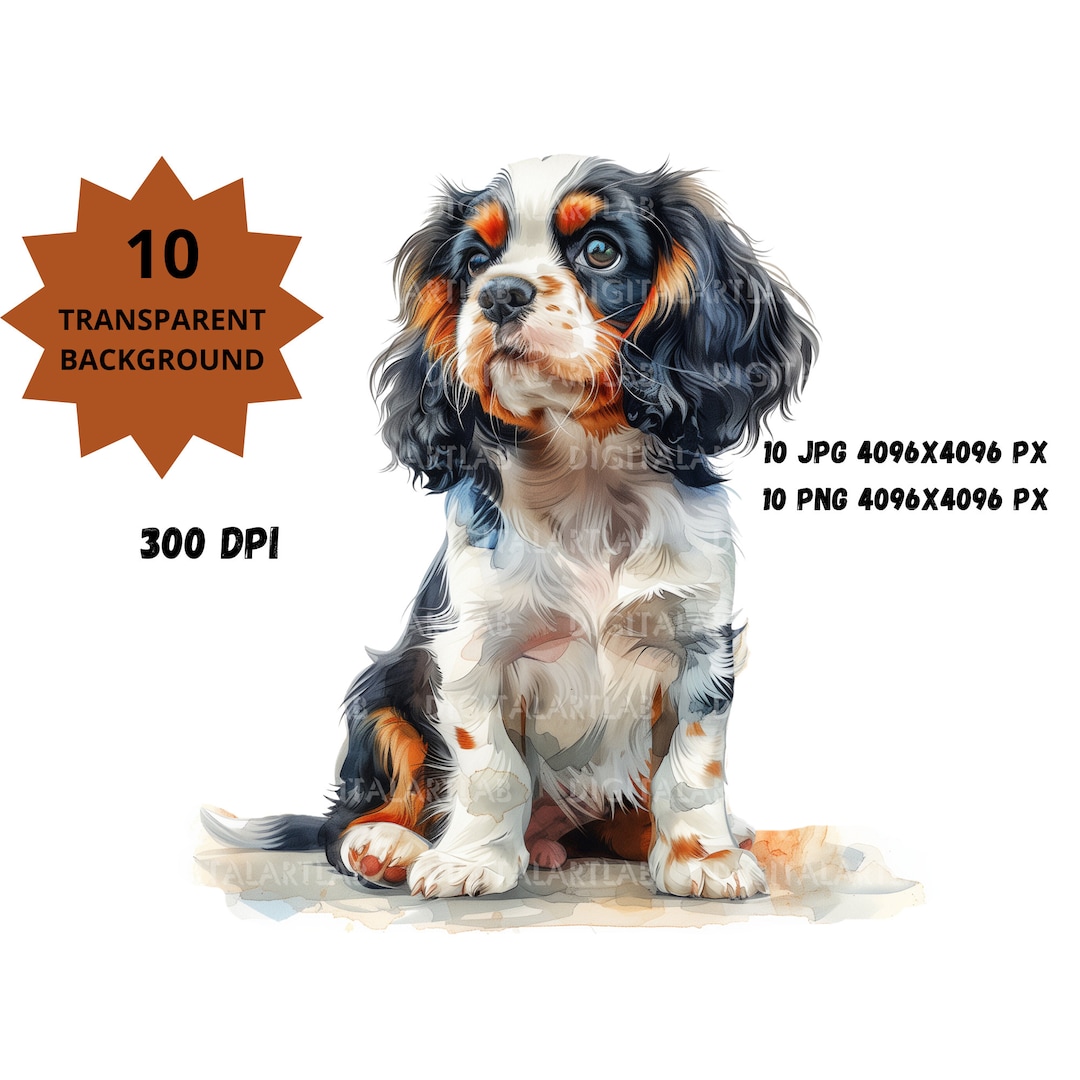 Cavalier Puppy Clipart, Puppies Clipart, Baby Animals Clipart ...