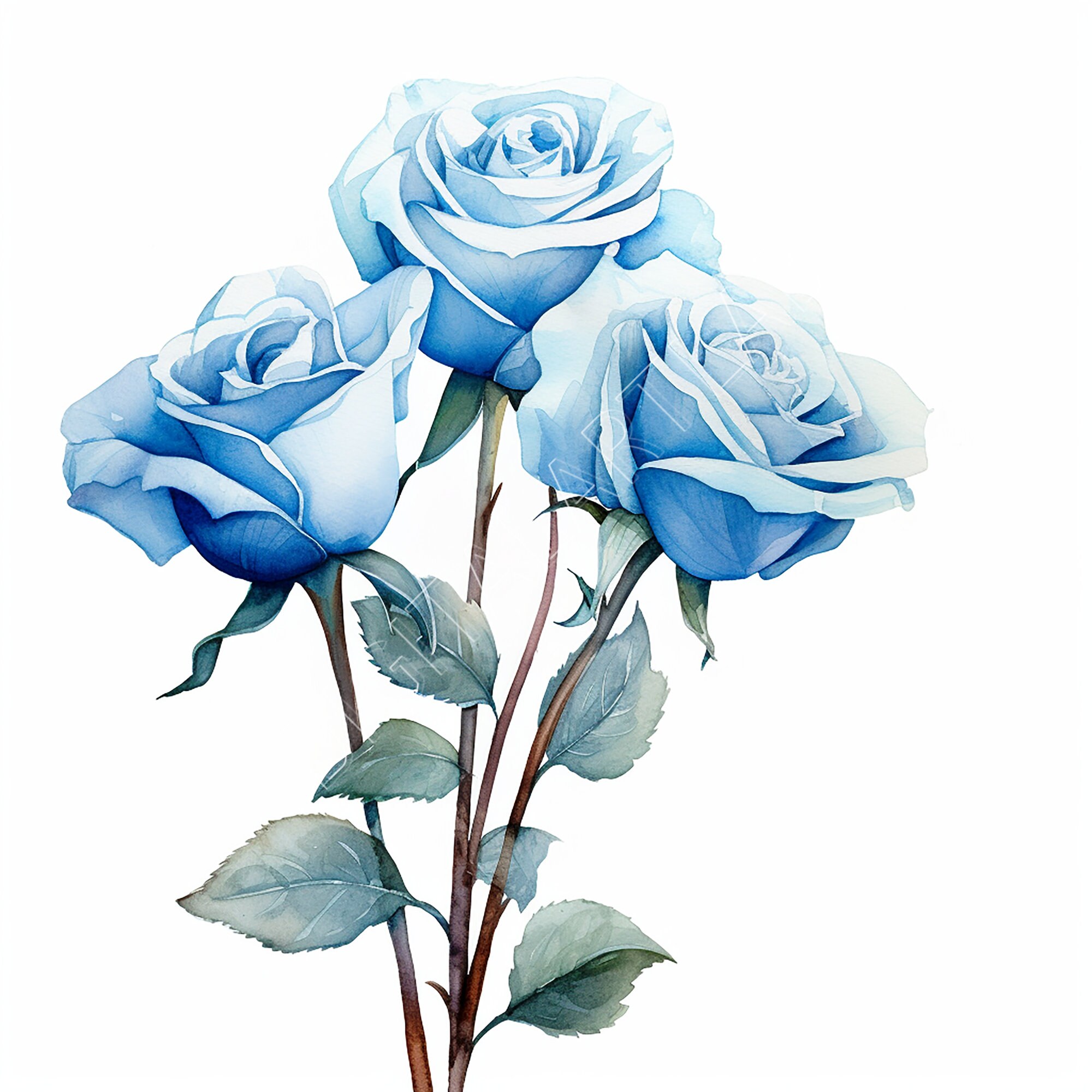 Blue Roses Clipart, Printable Wall Art, Valentines Prints, Digital Blue ...