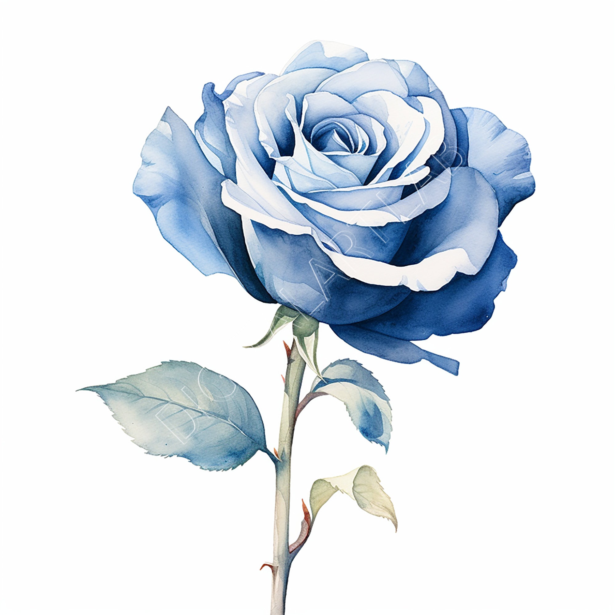 Blue Rose Clipart, Printable Wall Art, Valentines Prints, Digital Blue ...
