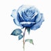 Blue Rose Clipart, Printable Wall Art, Valentines Prints, Digital Blue ...