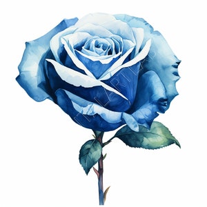 Blue Rose Clipart, Printable Wall Art, Valentines Prints, Digital Blue ...