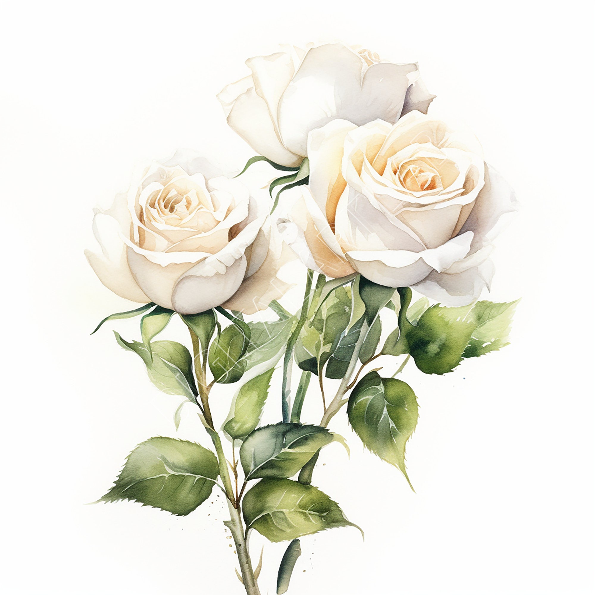 White Roses Clipart, Printable Wall Art, Valentines Prints, Digital ...