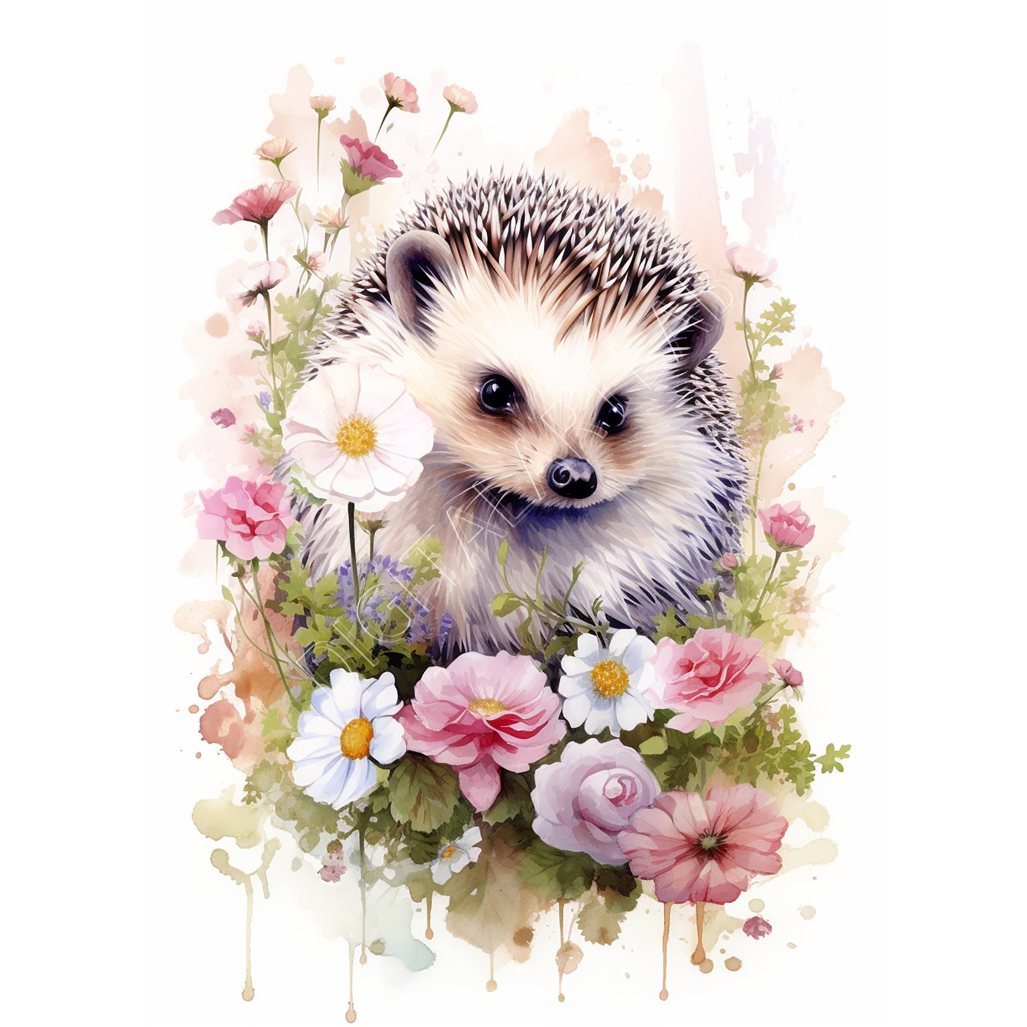 11 Hedgehog Clipart, Cute Hedgehog Clipart, Animal Prints, Digital ...