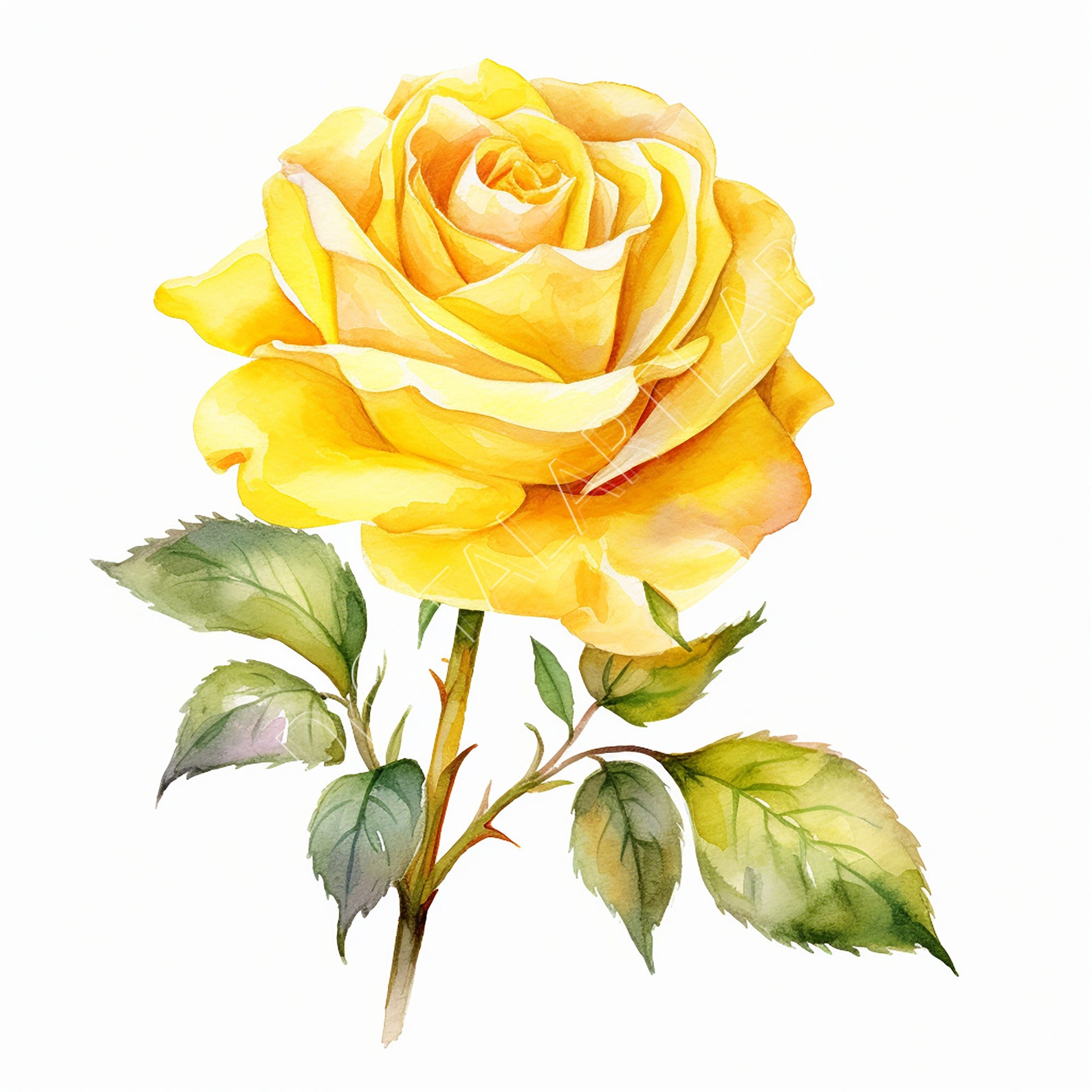 Yellow Rose Clipart, Printable Wall Art, Valentines Prints, Digital ...