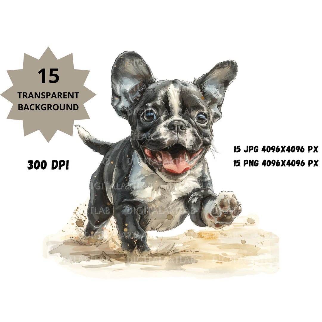 Boston Terrier Puppy Clipart, Puppies Clipart, Baby Animals Clipart ...
