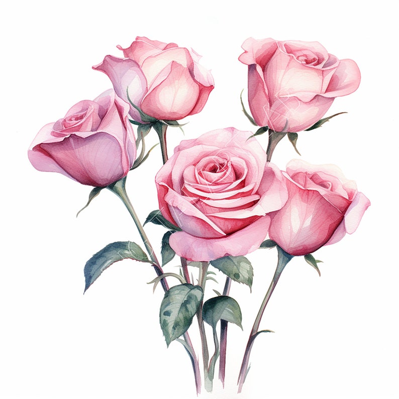Pink Roses Watercolor Clipart, Printable Wall Art, Valentine's Day ...