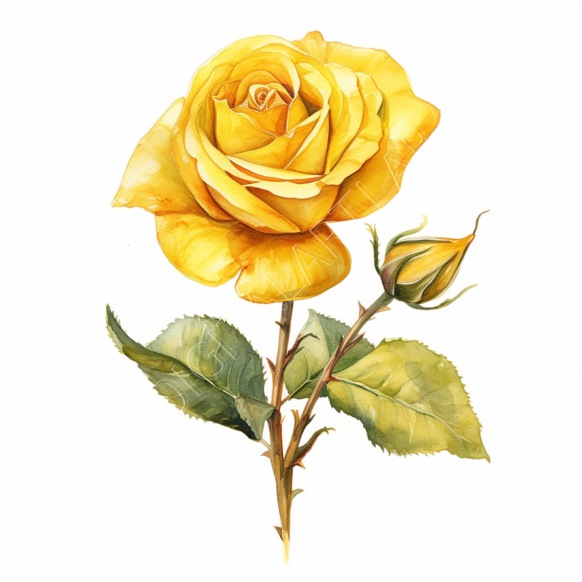 Yellow Rose Clipart, Printable Wall Art, Valentines Prints, Digital ...