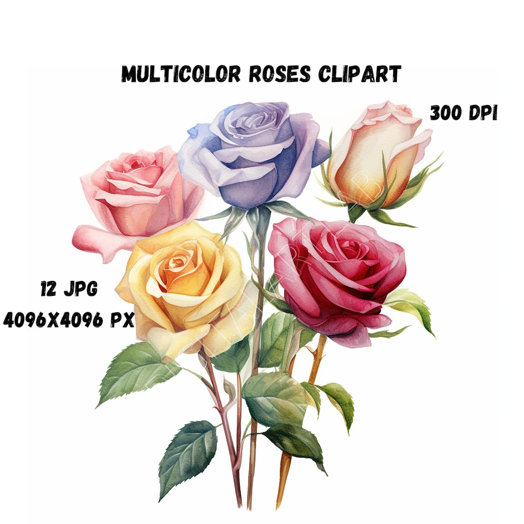Colored Roses Clipart, Printable Wall Art, Valentine's Prints, Digital ...