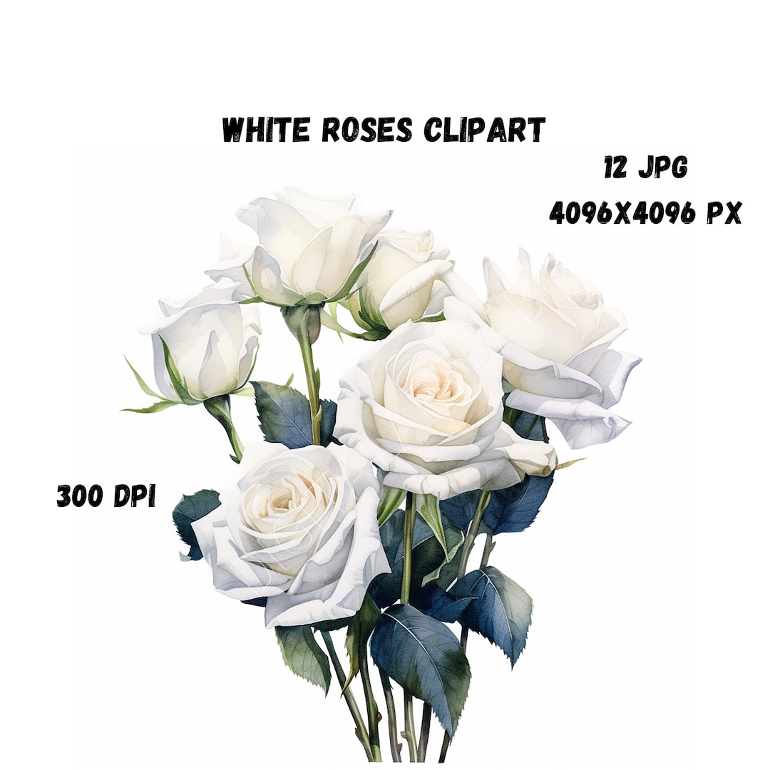 White Roses Clipart, Printable Wall Art, Valentines Prints, Digital ...