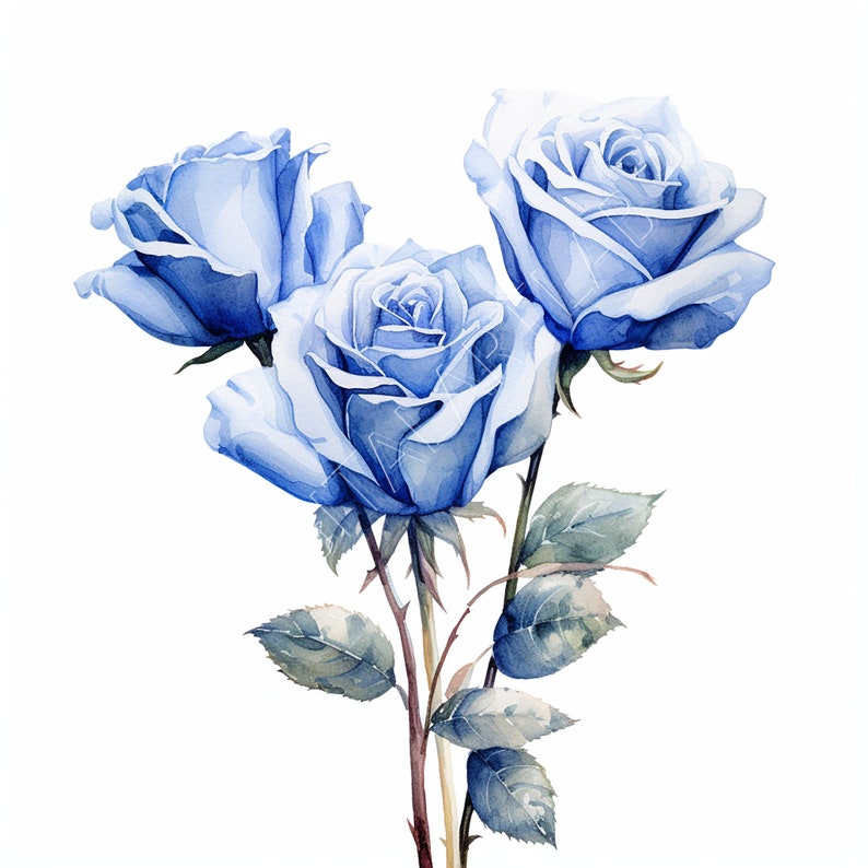 Blue Roses Clipart, Printable Wall Art, Valentines Prints, Digital Blue ...