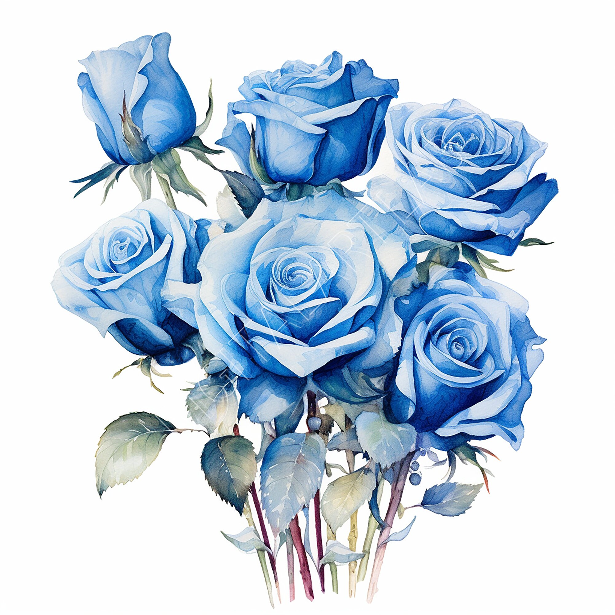 Blue Roses Clipart, Printable Wall Art, Valentines Prints, Digital Blue ...