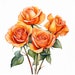 Orange Roses Clipart, Printable Wall Art, Valentines Prints, Digital ...