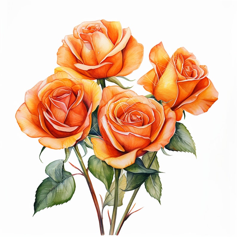 Orange Roses Clipart, Printable Wall Art, Valentines Prints, Digital ...