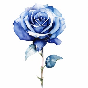 Blue Rose Clipart, Printable Wall Art, Valentines Prints, Digital Blue ...