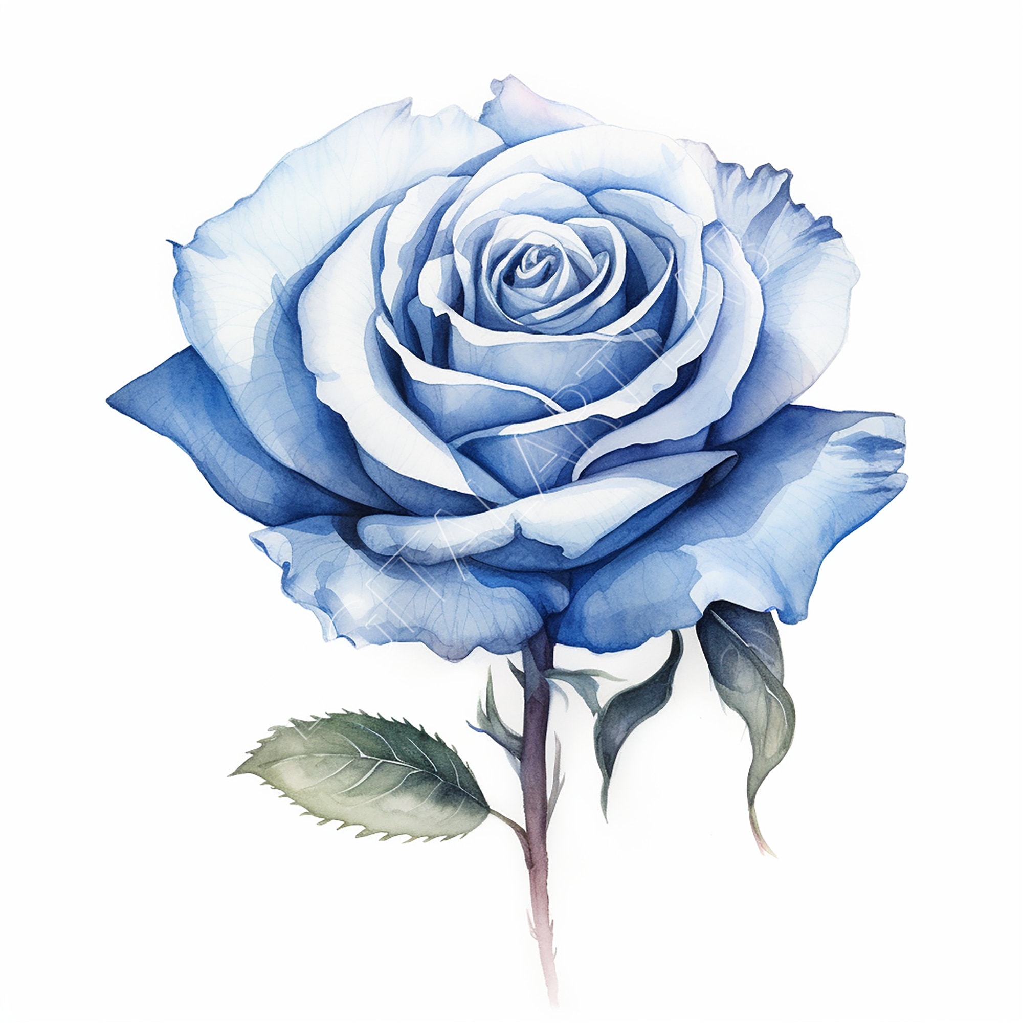 Blue Rose Clipart, Printable Wall Art, Valentines Prints, Digital Blue ...