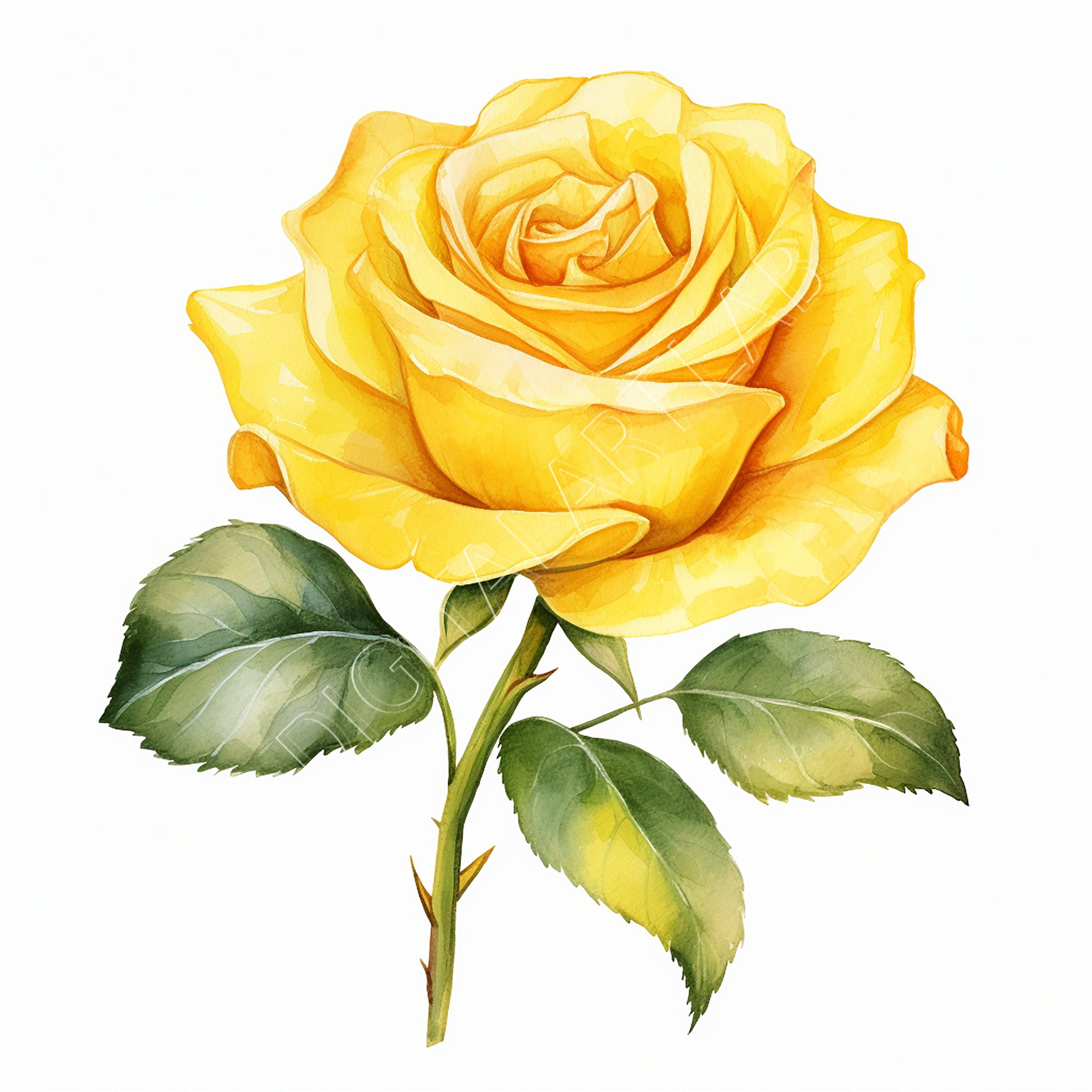 Yellow Rose Clipart, Printable Wall Art, Valentines Prints, Digital ...