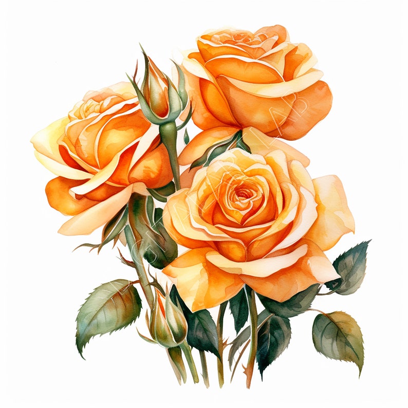 Orange Roses Clipart, Printable Wall Art, Valentines Prints, Digital ...