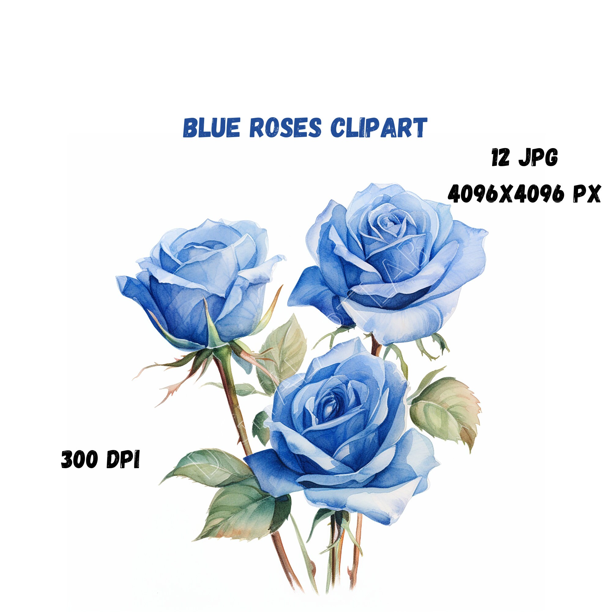Blue Roses Clipart, Printable Wall Art, Valentines Prints, Digital Blue ...
