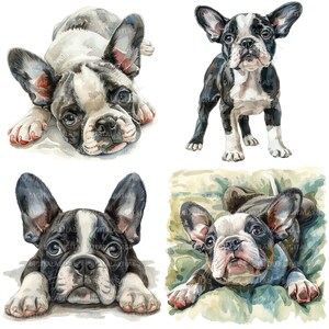 Boston Terrier Puppy Clipart, Puppies Clipart, Baby Animals Clipart ...