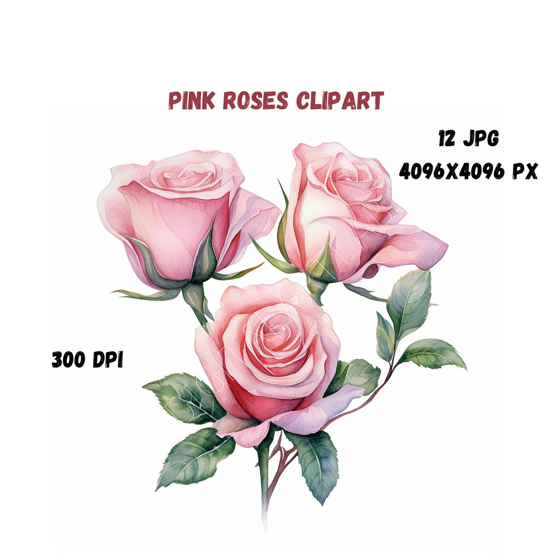 Pink Roses Watercolor Clipart, Printable Wall Art, Valentine's Day ...