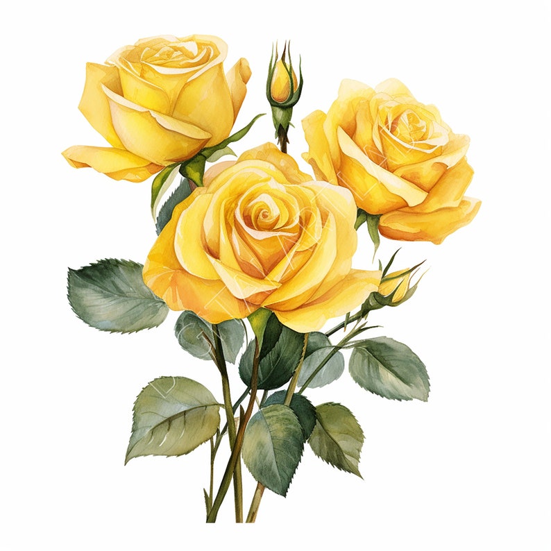 Yellow Roses Clipart, Printable Wall Art, Valentines Prints, Digital ...