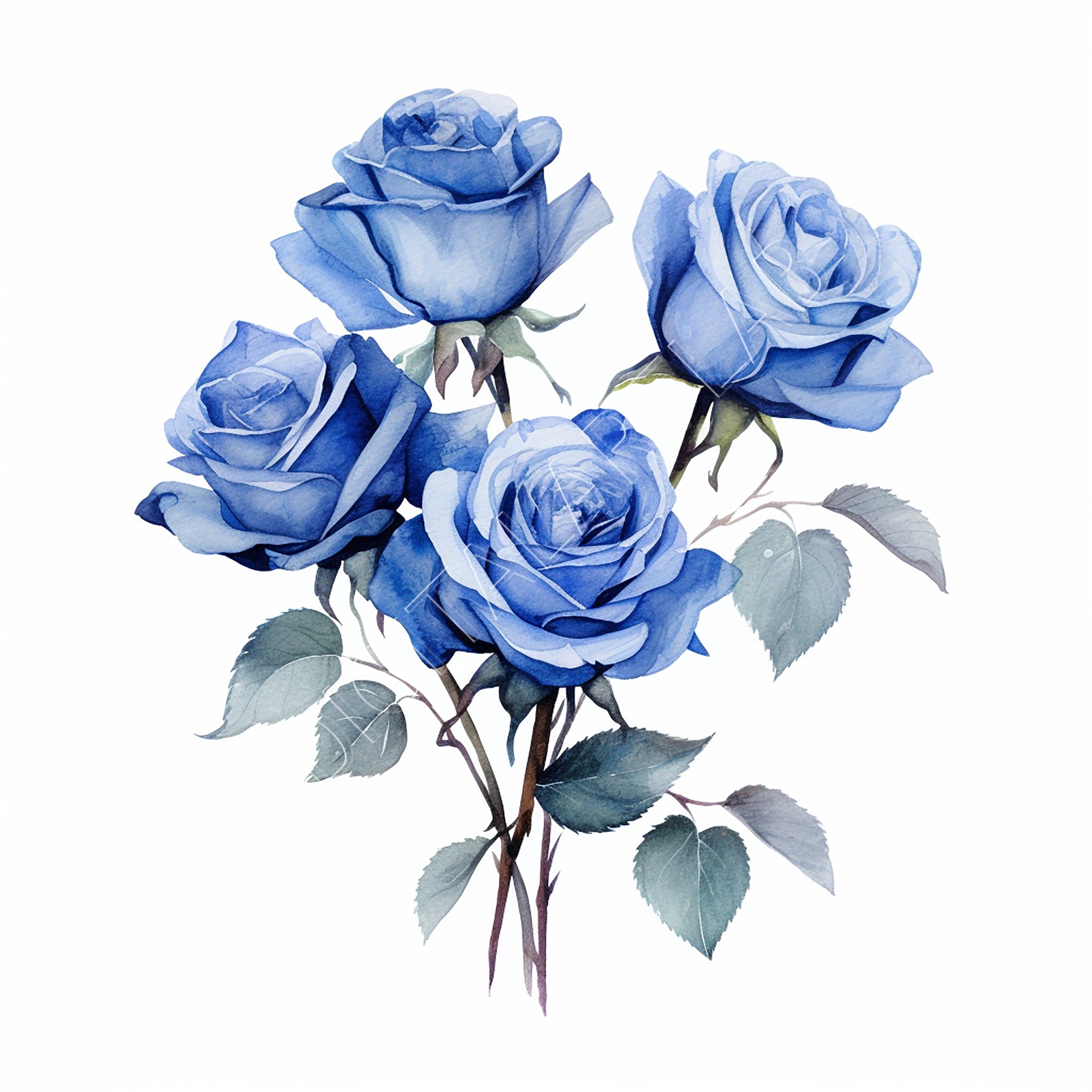 Blue Roses Clipart, Printable Wall Art, Valentines Prints, Digital Blue ...
