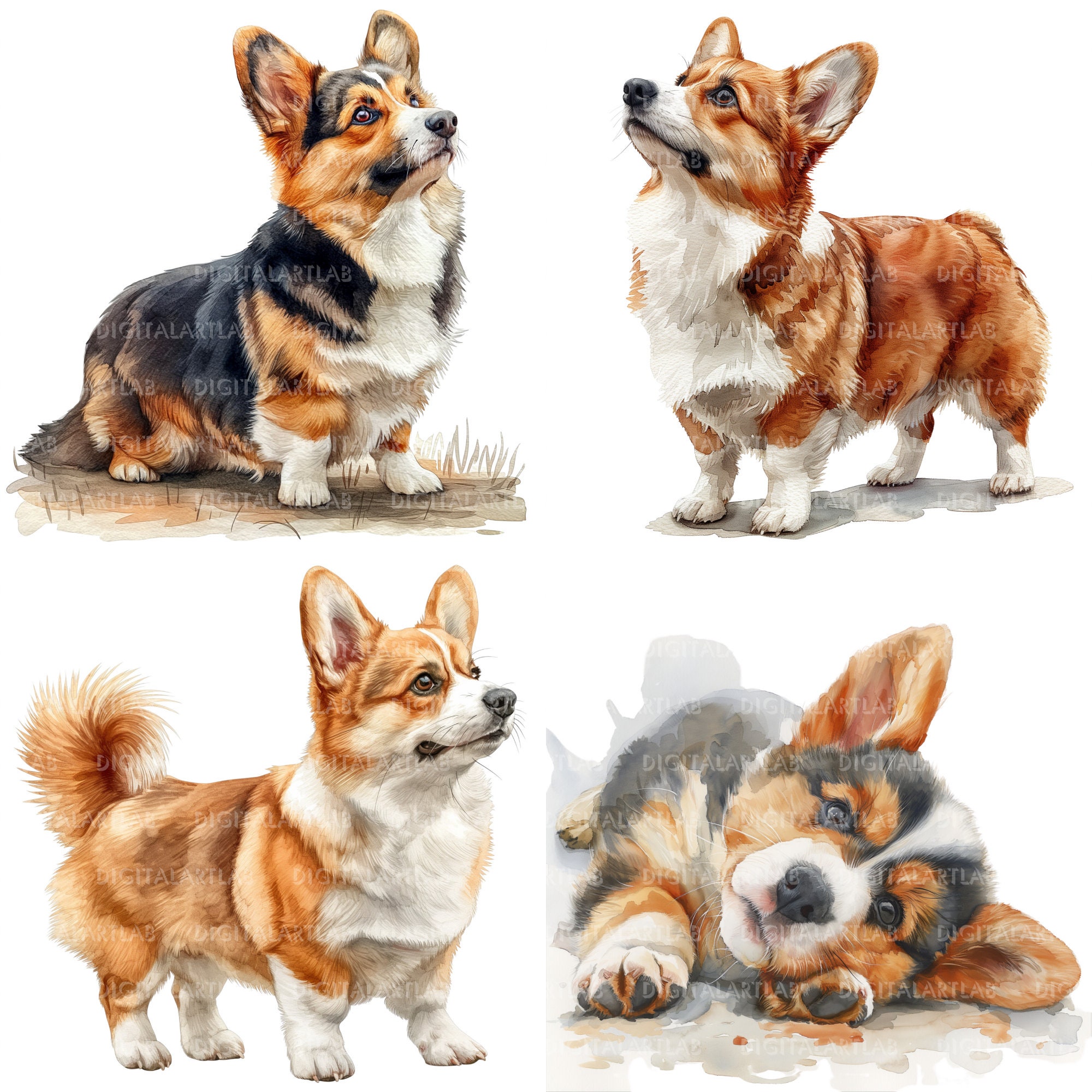 Corgi Puppy Clipart, Animal Prints, Baby Animals Clipart, Watercolor ...