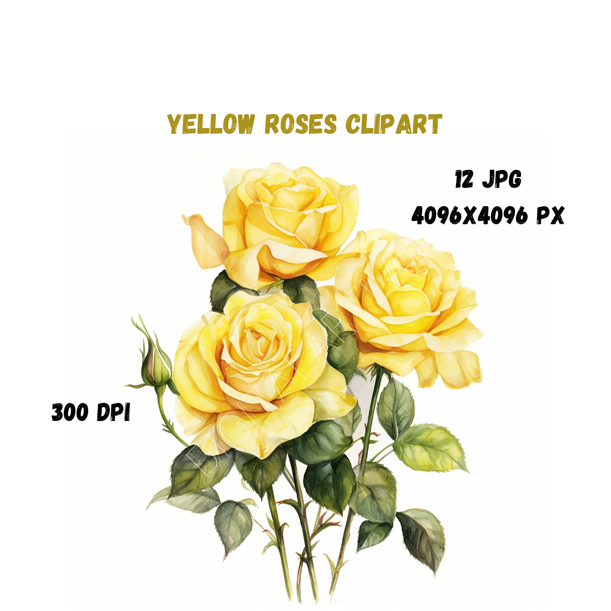 Yellow Roses Clipart, Printable Wall Art, Valentines Prints, Digital ...