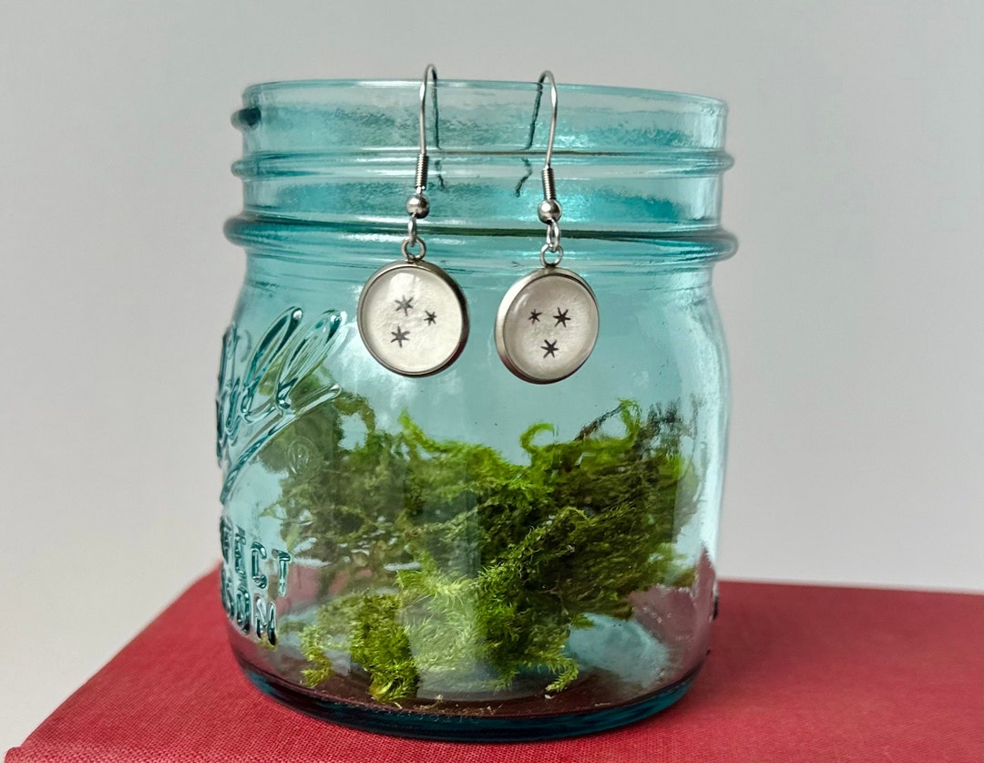 Stainless Steel Harry Potter Chapter Stars Book Page Dangle Earrings - Etsy