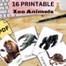 Zoo Animals Editable Flashcards | Digital Flash Cards | Printable Flash ...