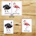 Zoo Animals Editable Flashcards | Digital Flash Cards | Printable Flash ...