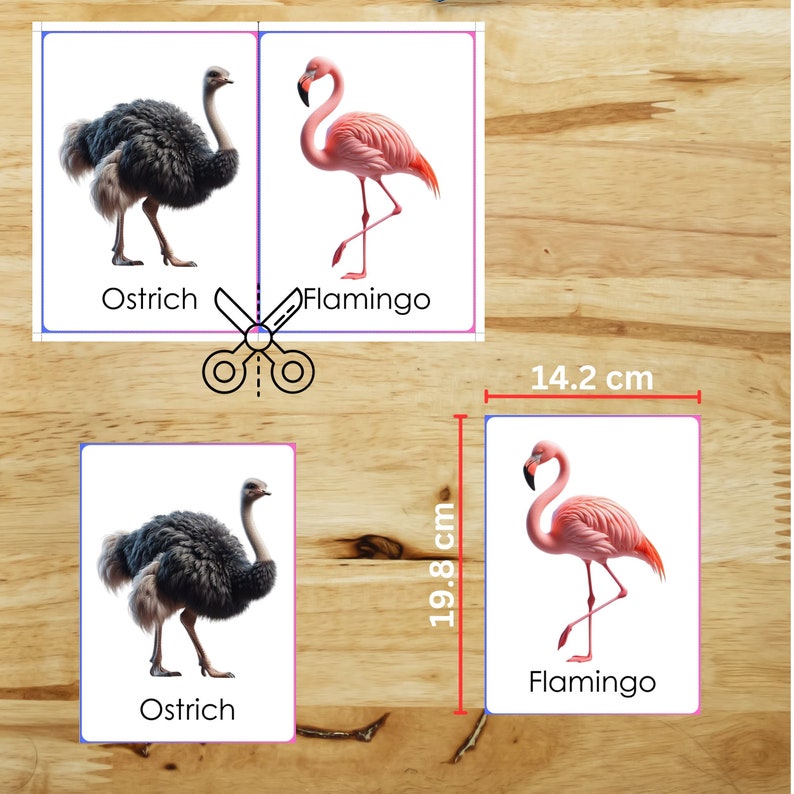 Zoo Animals Editable Flashcards | Digital Flash Cards | Printable Flash ...