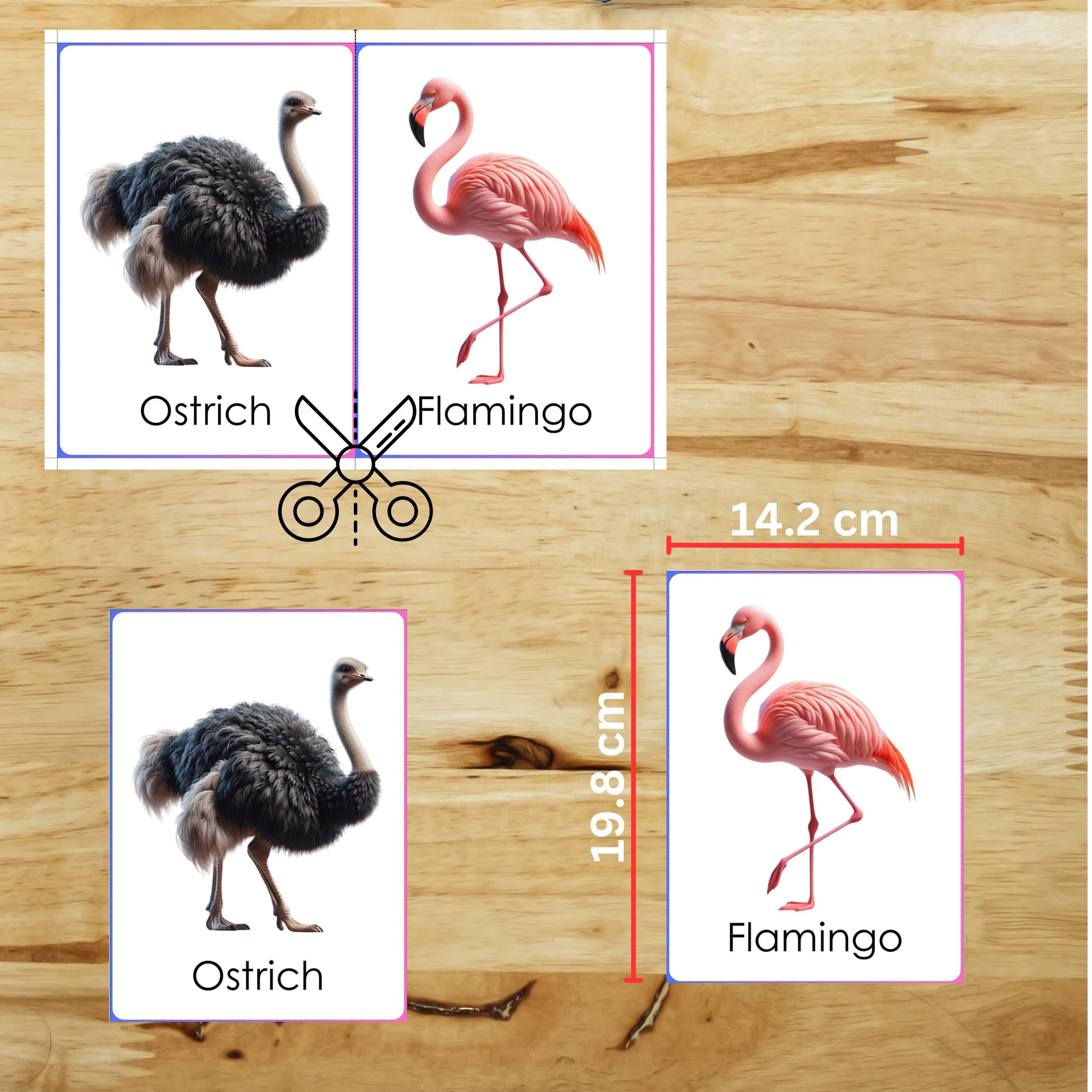 Zoo Animals Editable Flashcards | Digital Flash Cards | Printable Flash ...