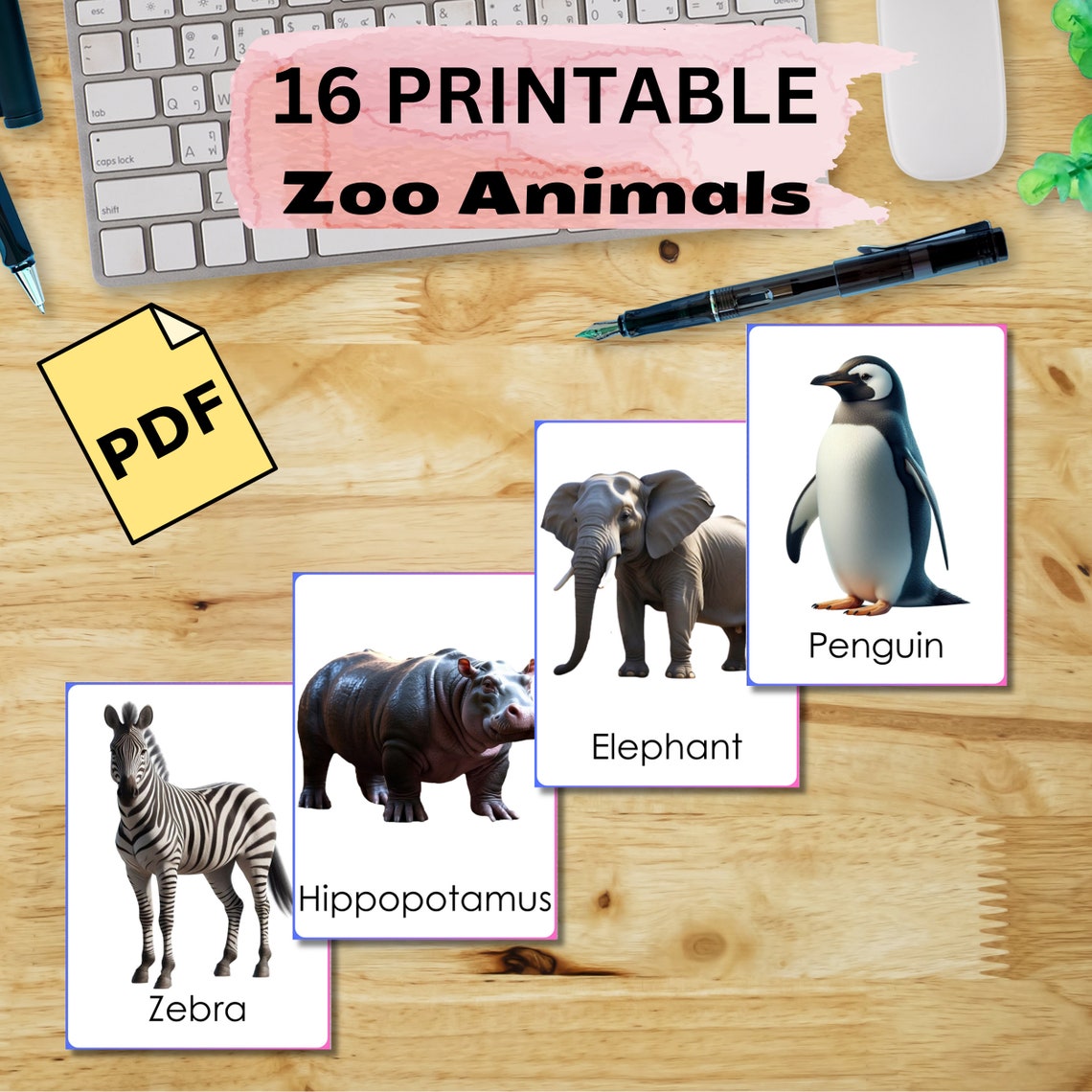 Zoo Animals Editable Flashcards | Digital Flash Cards | Printable Flash ...