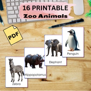 Zoo Animals Editable Flashcards | Digital Flash Cards | Printable Flash ...