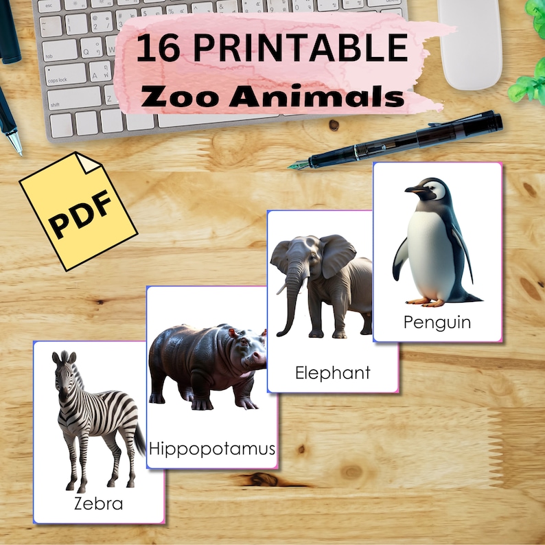 Zoo Animals Editable Flashcards | Digital Flash Cards | Printable Flash ...