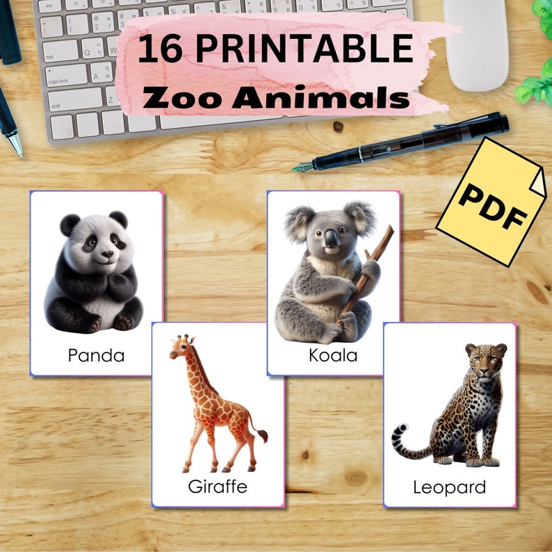 Zoo Animals Editable Flashcards | Digital Flash Cards | Printable Flash ...